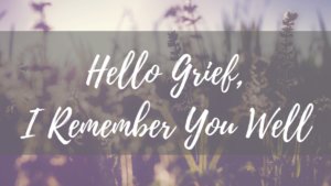 Hello Grief, I Remember You Well - Just Playing House